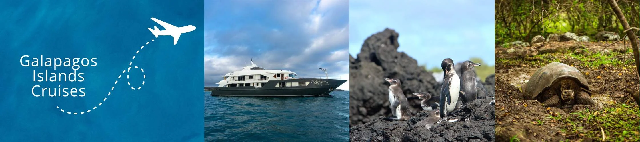 What Are Galapagos Islands Famous For? Nature's Unique Wonders